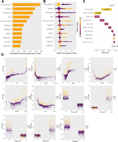 Development And Validation Of An Interpretable Machine Learning Model For Predicting The Risk Of