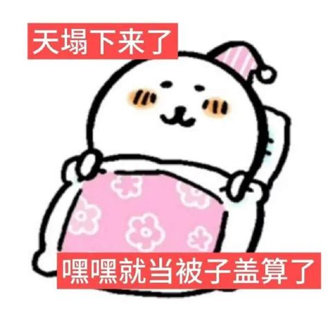 天塌了的图片表情包图片 求表情网斗图从此不求人