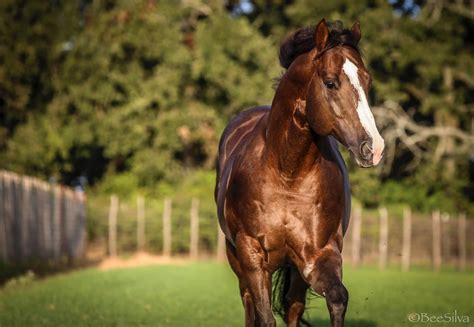 Dashin Dynamo ‼️heres Over 5 Million Reasons Why You