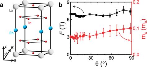 angular dependence of quantum oscillation frequency and cyclotron mass