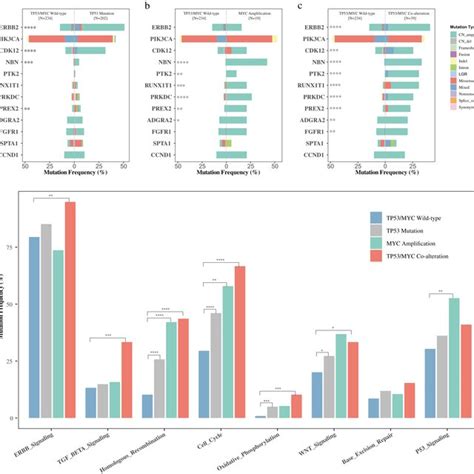 Differentially Mutated Genes And Molecular Signaling Pathways A Gene Download Scientific