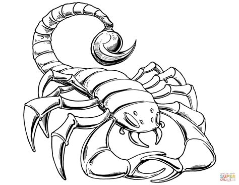 Scorpion Coloring Pages Drawing Scorpions Prehistoric Simple Printable