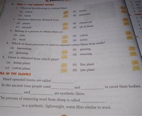 Synthetic Fibres Are Obtained From Filo