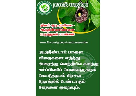 ஆடதணடபபள Practice Fundamentals Of Computer Science Studocu