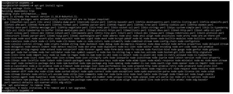 Nginx Errorpage How To Configure Nginx Errorpage