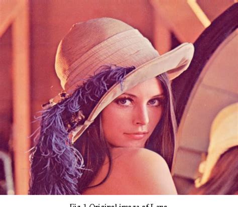 Figure 1 From A New Approach For Image Steganographyusing Edge Detection Method Semantic Scholar