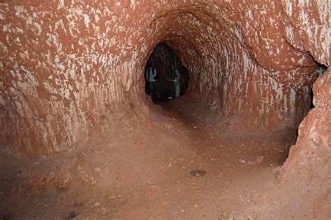Massive Caves In Southern Brazil Are Actually Ancient Ground Sloth Burrows