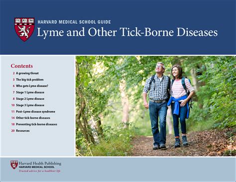 Chronic Lyme Arthritis A Mystery Solved Harvard Health