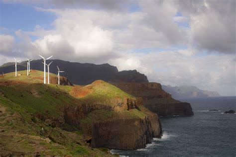 Longevity By Design Original Fibres