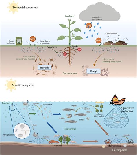 Microplastic Cycle In The Environment Nhsjs