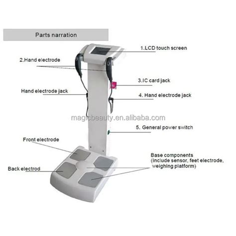Body Fat Measurement Machine Body Fat Calculator Machine Body Fat