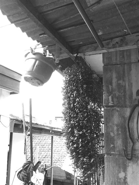 Hanging Pots By Ariyantosugo On Deviantart