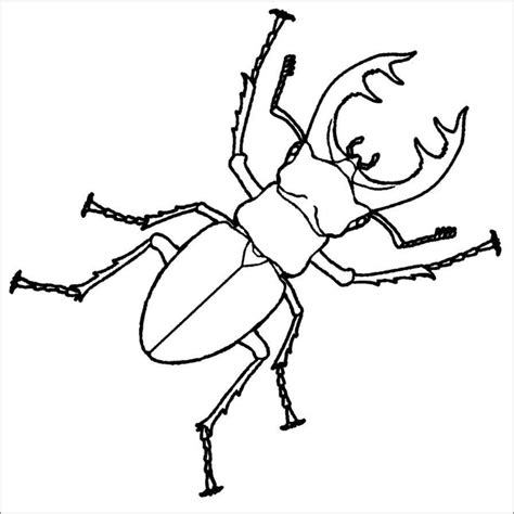 Beetle Coloring Page Printable