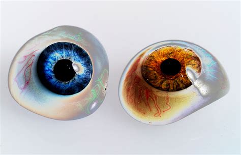The Quest To Craft The Perfect Artificial Eye Through The Ages Ztoog