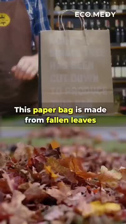 Video Ria M On Linkedin 🌿 Pepper Bags From Fallen Leaves 💡