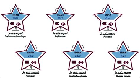 Examples Of Badges Awarded In The Mooc Source Authors Own Elaboration