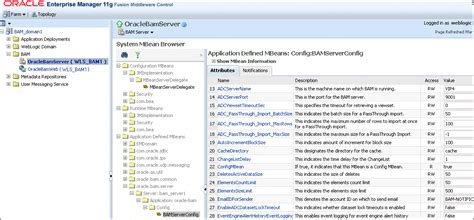 Extending The Domain To Include Bam