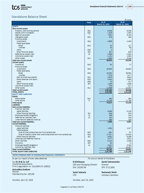 Standalone Financial Statements 2024 25 Pdf Expense Business