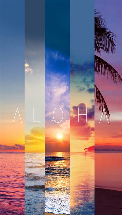 Aloha Wallpapers Top Free Aloha Backgrounds Wallpaperaccess