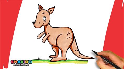 How To Draw A Cartoon Kangaroo