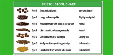 Why Does Antibiotics Cause Constipation