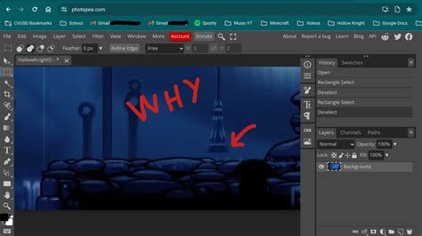 Found A Weird Placement Issue Rhollowknight