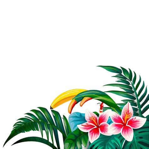 Tropical Landscape Border Png Jyx Png Image