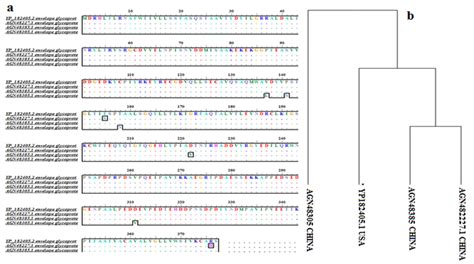 Align In Bioedit Vitalnaxre