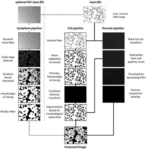 inspect processing pipeline cell pipeline input image is smoothed