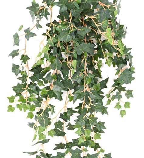 Passiflor 100 Villa Garden