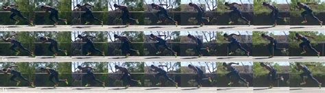 The Altis Kinogram Method