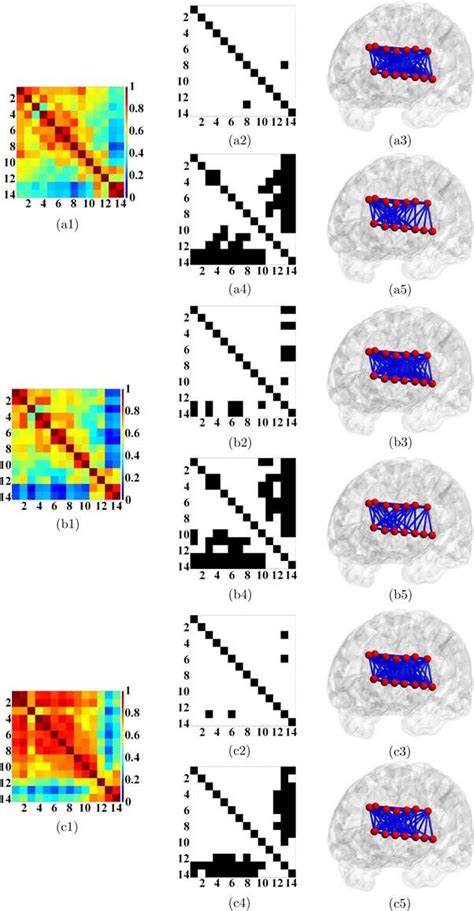 Correlation Coe±cients Binary Matrix And 3d Relative Networks Of Brain Download Scientific