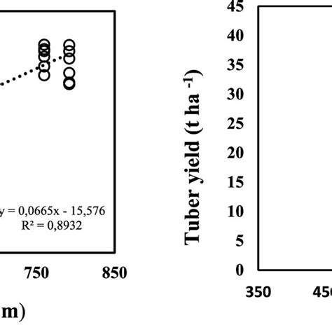 Relationship Between Tuber Yield Irrigation Levels And Etc Download