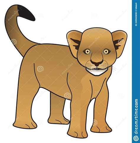 Lion Cub Vector Drawing On Isolated White Background 245943690