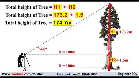calculate height of tree at will pedroza blog