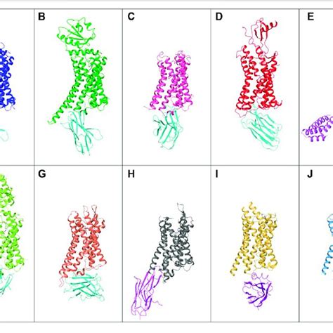 Phylogenetic Tree Of Class A Gpcrs Indicating Gpcr Structures That
