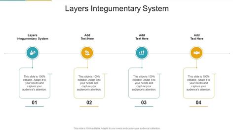 Integumentary System Powerpoint High School Integumentary System