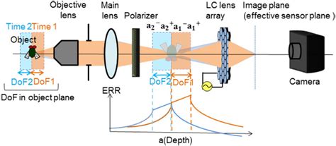 Extending Dof Of Light Field Microscope By Montaging Light Field Image Download Scientific