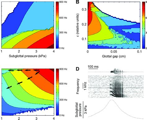 Dependence Of Fundamental Frequency F 0 On Glottal Gap X 0 Strain