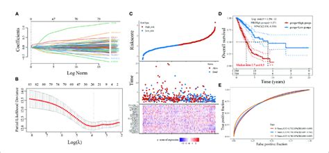 Lasso Regression Model Screening 84 Genes A Different