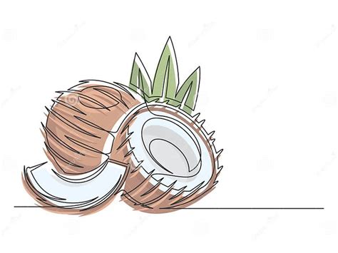 Continuous One Line Brown Coconuts With Palm Leaves Isolated On White Background Simple Plant