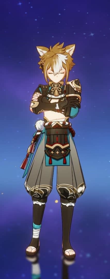 Inazuma Nation Guide Genshin Chronicle