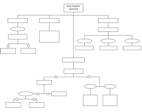 Gram Negative Algorithm Quiz By Jkwazzy12