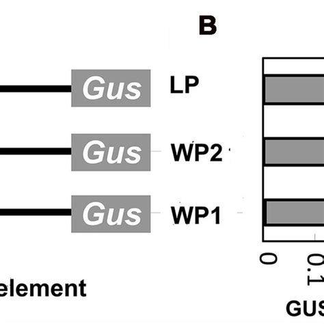Xiongjie Zheng Postdoc Position Phd King Abdullah University Of