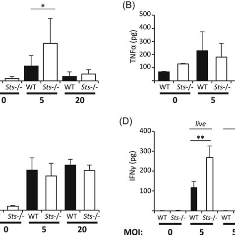 Increased Ifnγ Produced By Sts−−‐infected Bone Marrow‐derived