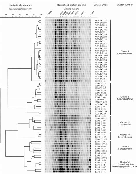 Grouping Application Traces Using Activityid System