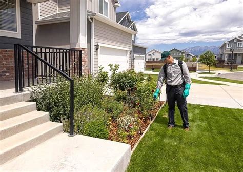 Kansas City Mo Pest Control Saela Pest Control