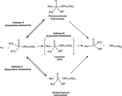 Frontiers Solvent And Solvation Effects On Reactivities And