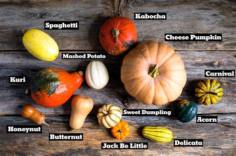 Different Types Of Winter Squash Kitchen Art Winter Squash
