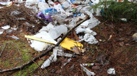 Prostitusjon Sognsvann De Drar Hit På Grunn Av Sexforbudet